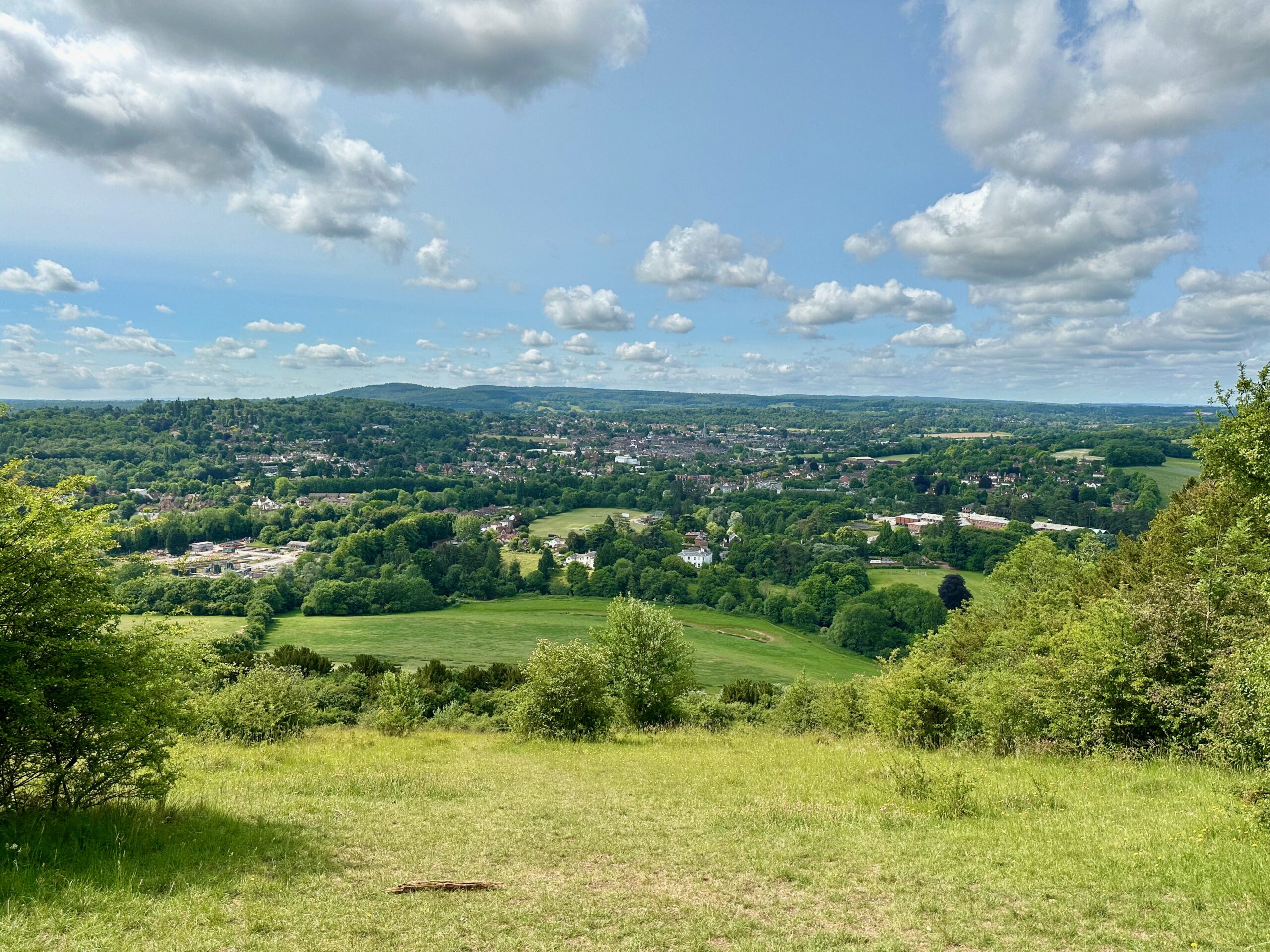 Day Trip to Box Hill, Surrey - Thyme for Motherhood
